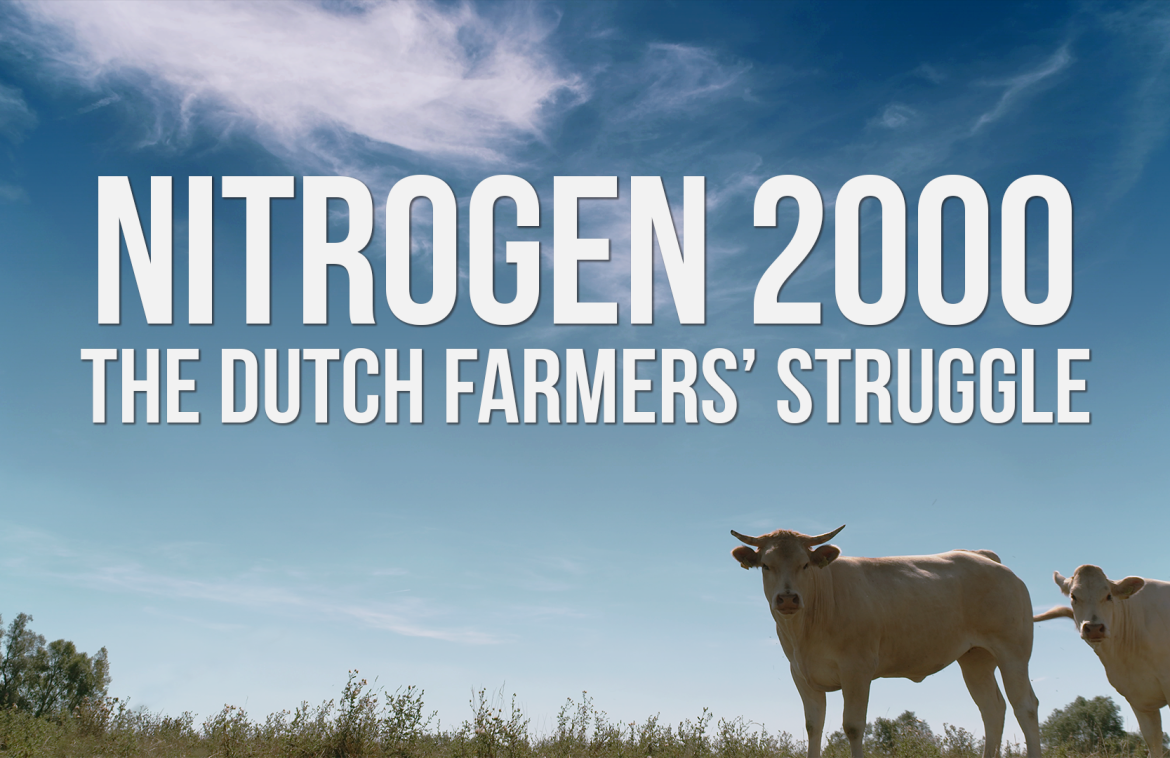 NITROGEN 2000 Trailer | BigPicture.WATCH