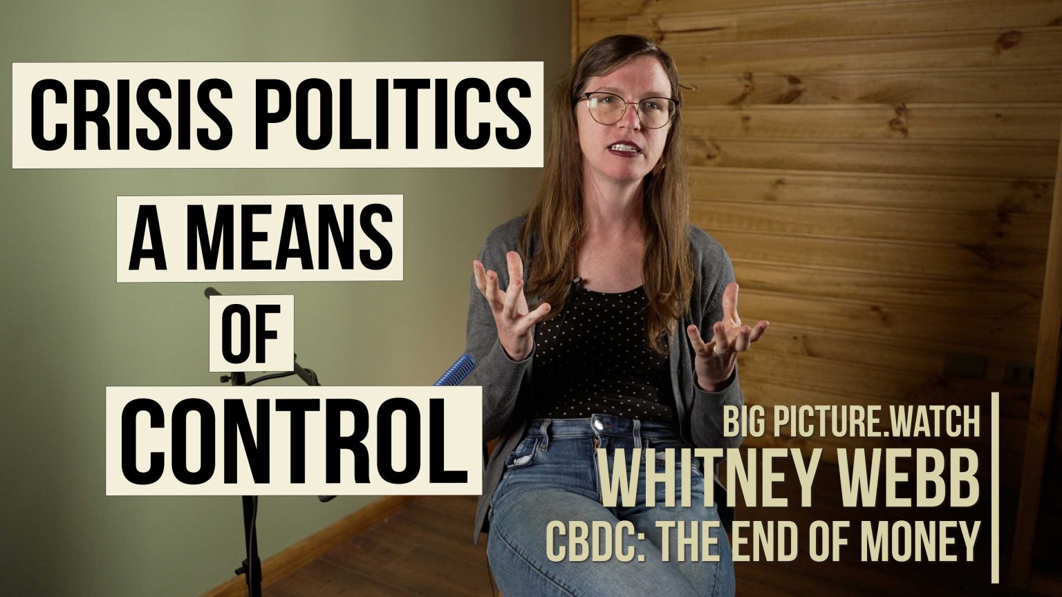 Crisis Politics: A Means of Control | Whitney Webb | BigPicture.WATCH